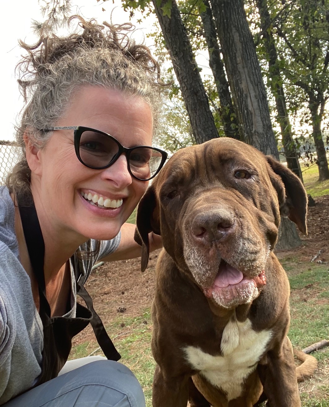 Shelley Seitz - Animal Reiki Training & Certification | Shelter Animal ...