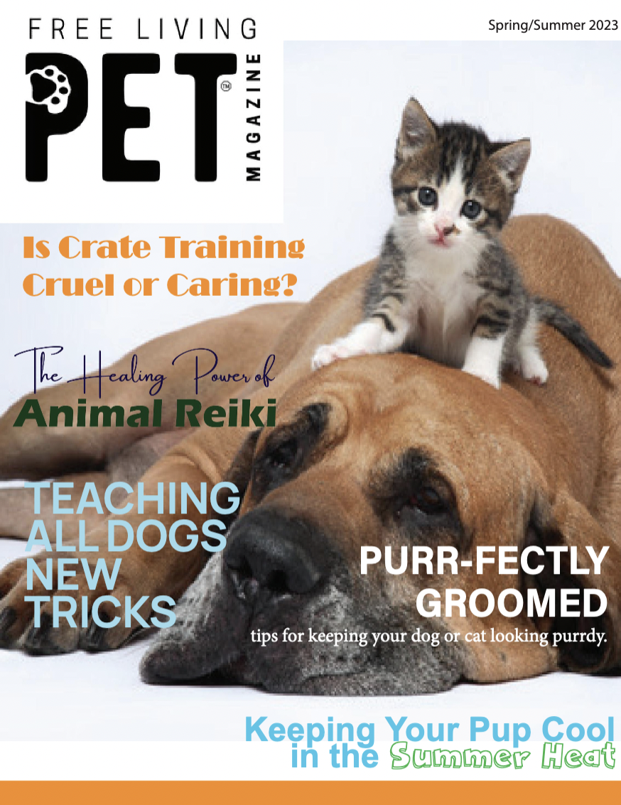Free Living Pet Magazine First Issue - SARA Brochure - Animal Reiki ...